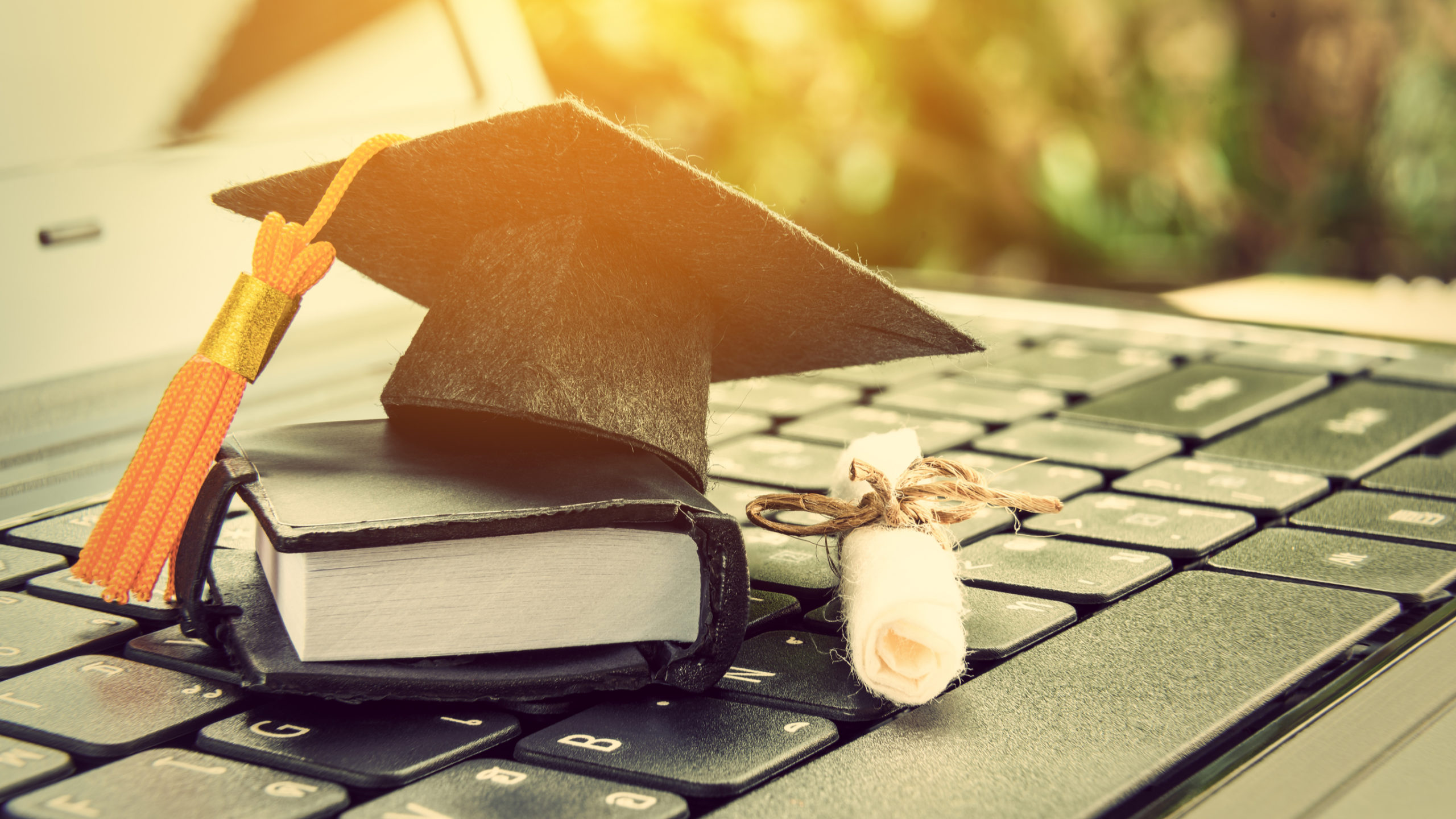 Stack ‘em high, sell ‘em cheap - get your micro-credentials here | Wonkhe Stack ‘em high, sell ‘em cheap - get your micro-credentials here | Wonkhe