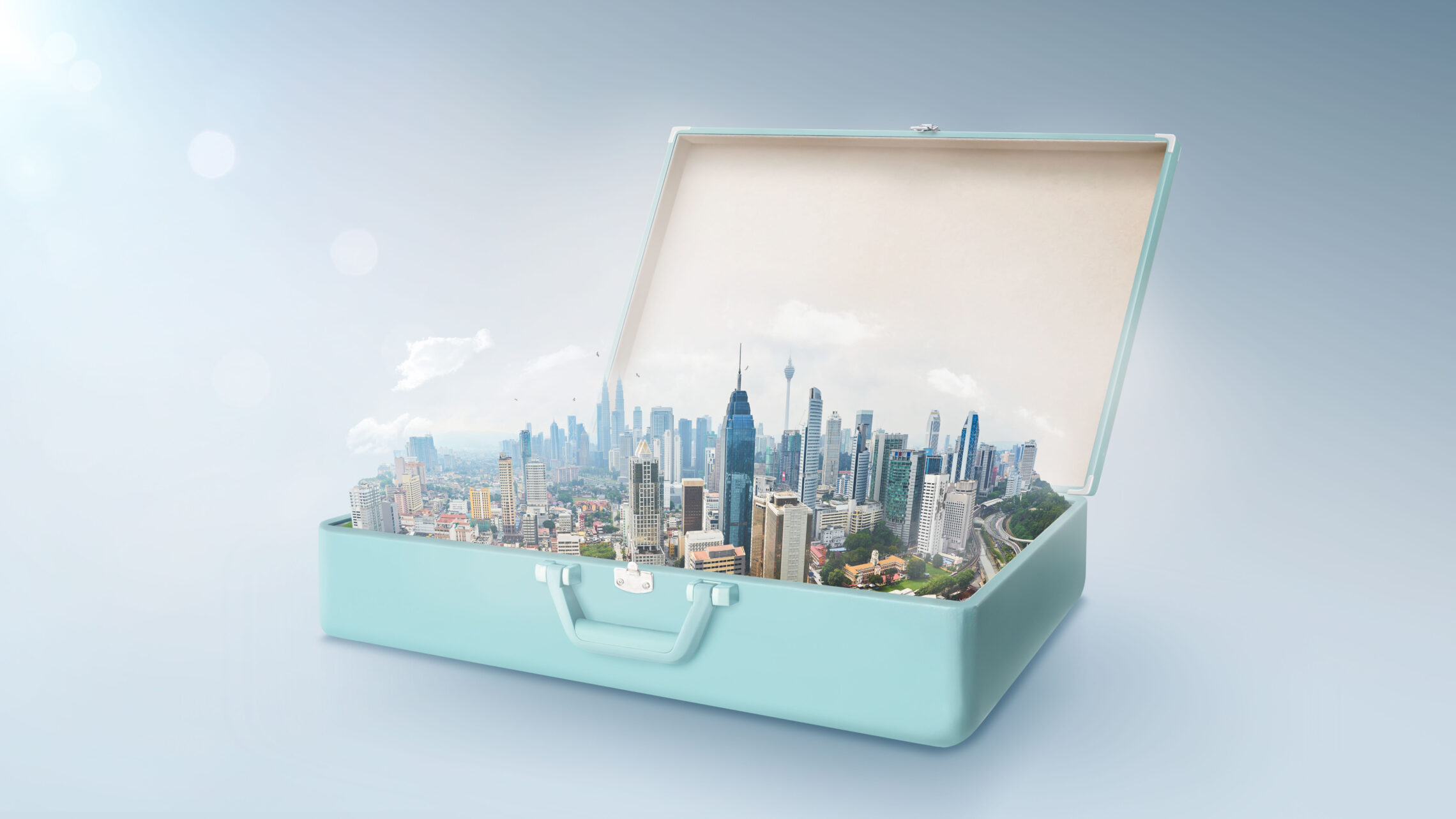 Graduate careers and employability are now fundamental to institutional ...